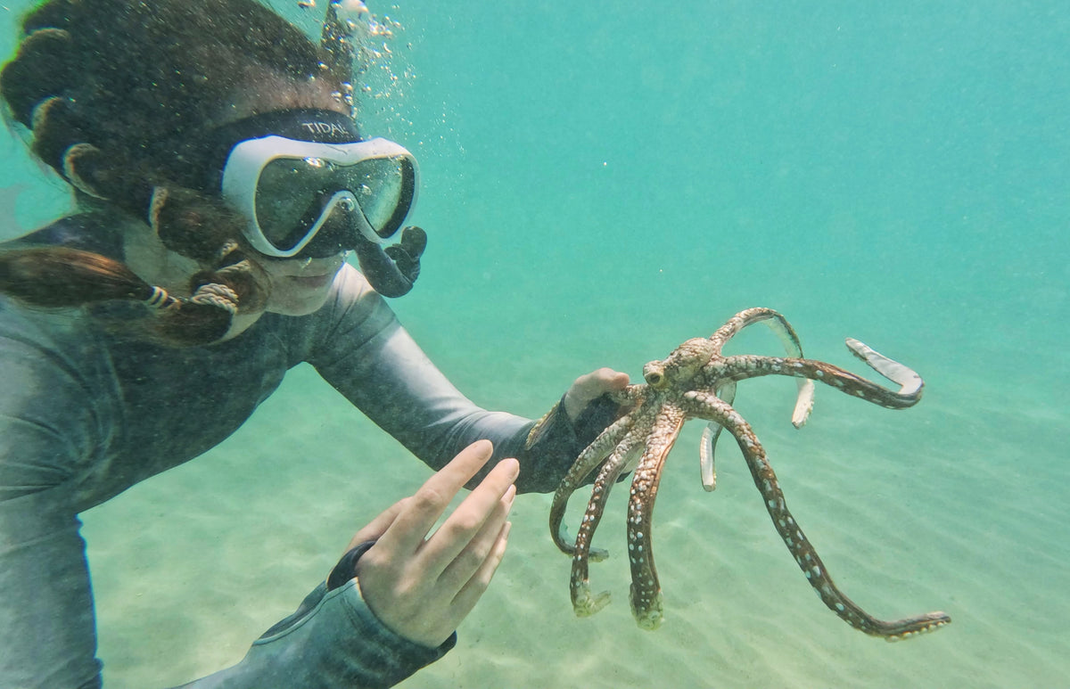 Custom Octopus Wrap/Dive toy Slot – Tiger Shark Mermaid Ventures LLC