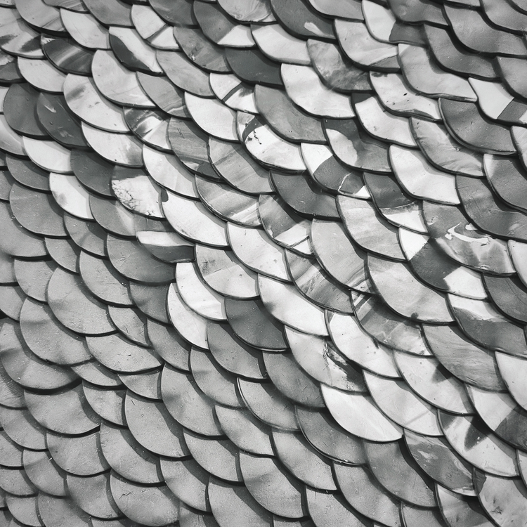 Mermaid Tails – Tiger Shark Mermaid